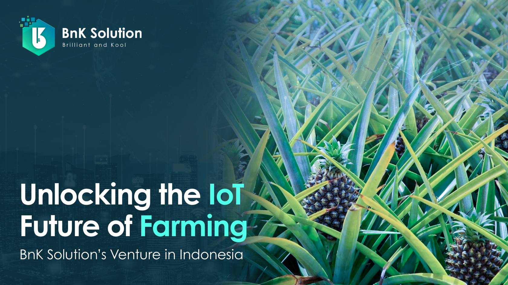 Unlocking the IoT Future of Farming: BnK Solution’s Venture in Indonesia | BnK Solution